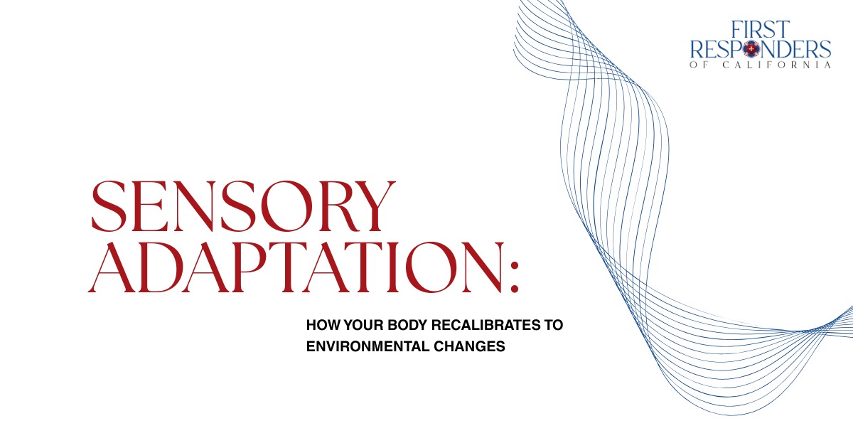 Sensory Adaptation Explained - Discover How Your Body Recalibrates